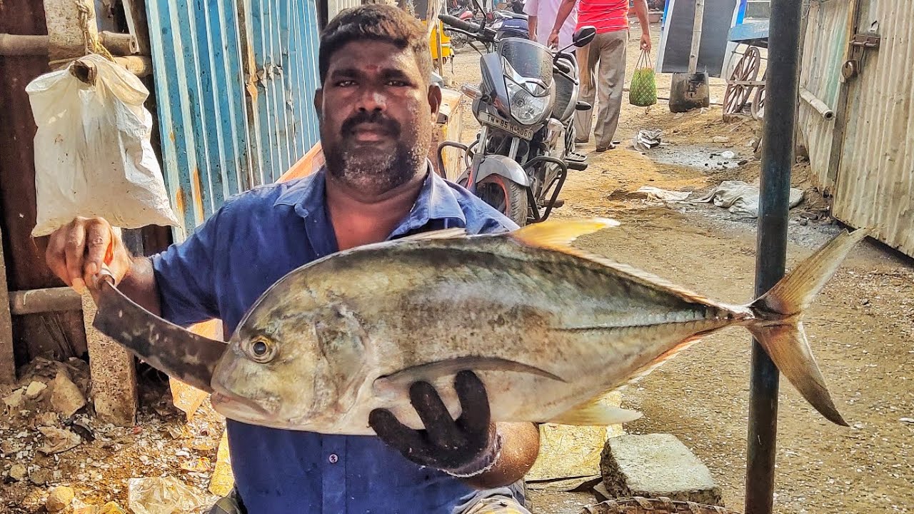 kasimedu minnal raja /fish cutting /fish cutting video /kasimedu /MT ...