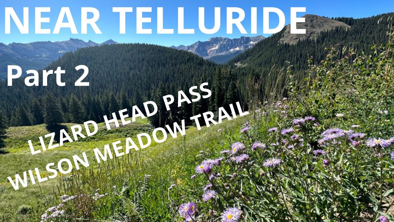 NEAR TELLURIDE Lizard Head Pass Wilson Meadow Trail Hike @TBoneandBoo ...