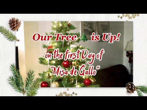 Our Tree is Up! | Kulitan & Asaran Time too - YouTube