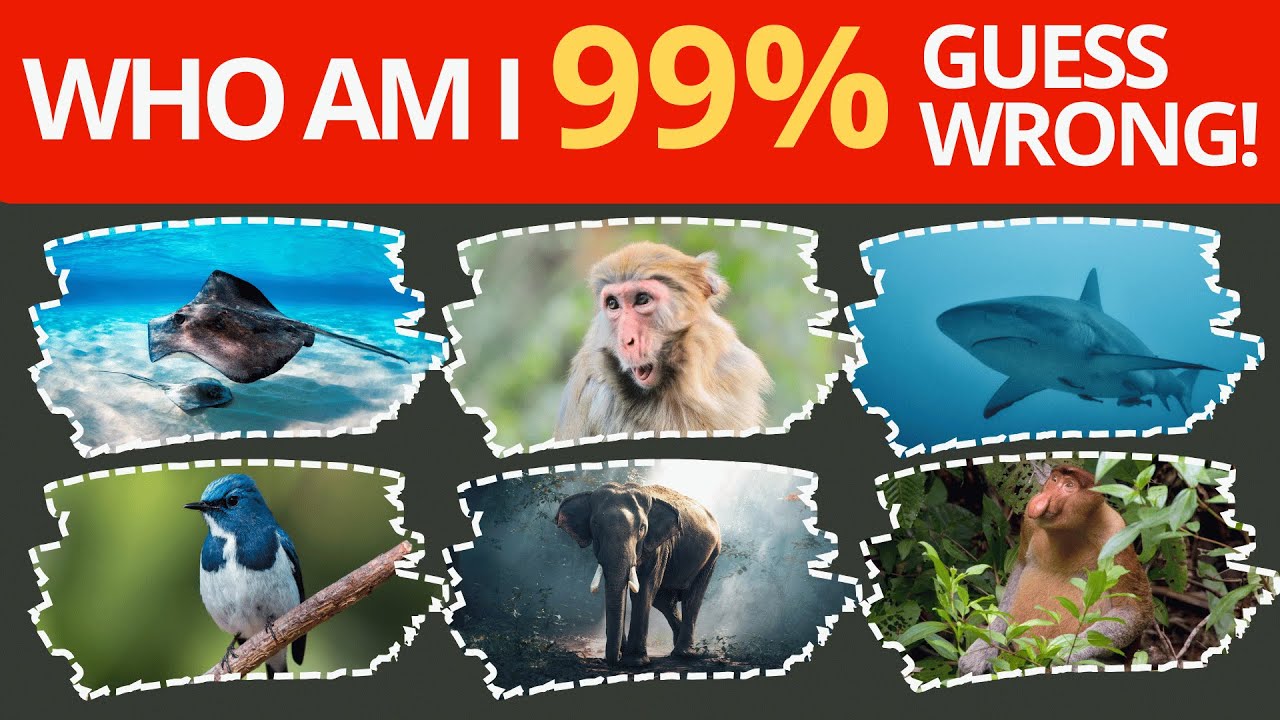 Who Am I? The Ultimate Animal Guessing Game! guessing game for kids ...