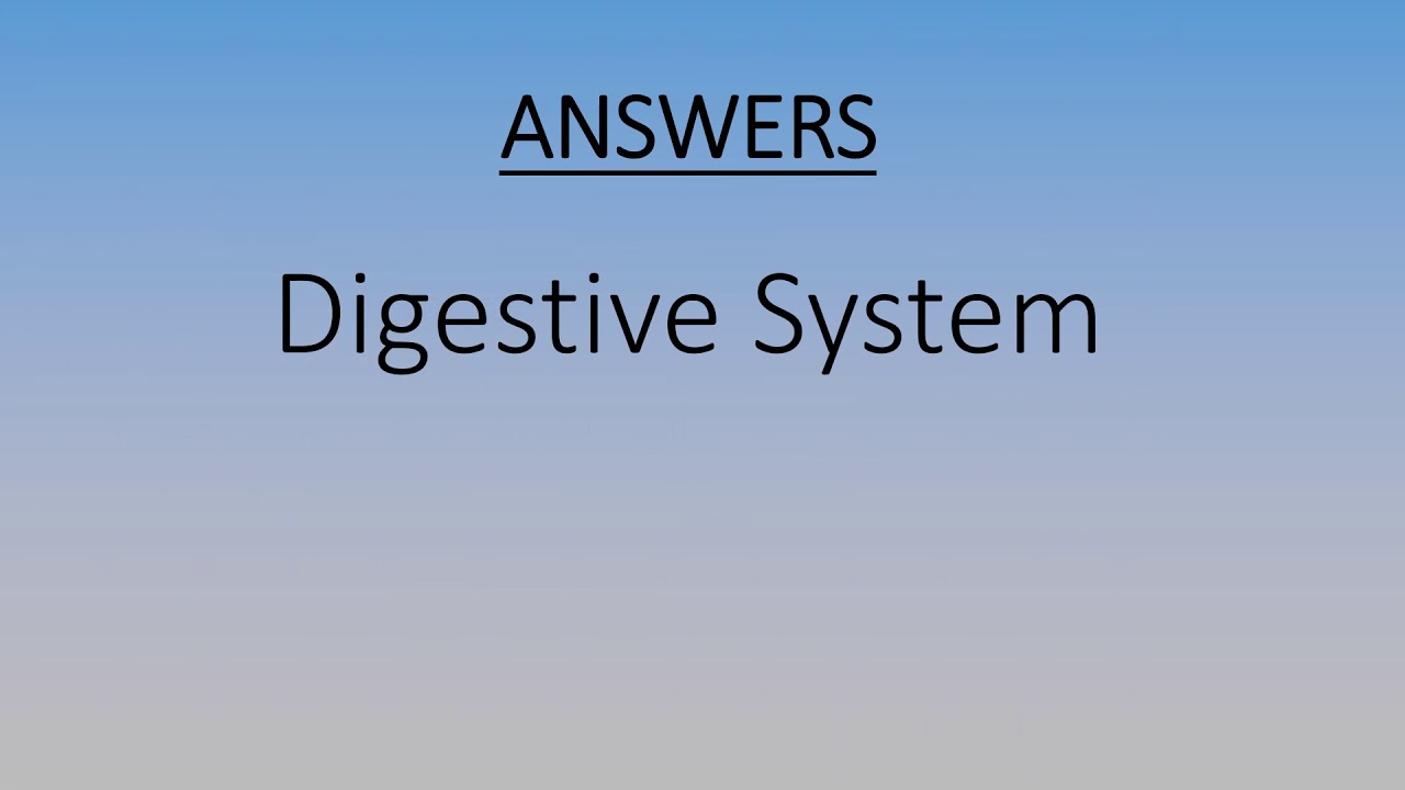 Medical Terminology Quiz- Digestive System - YouTube