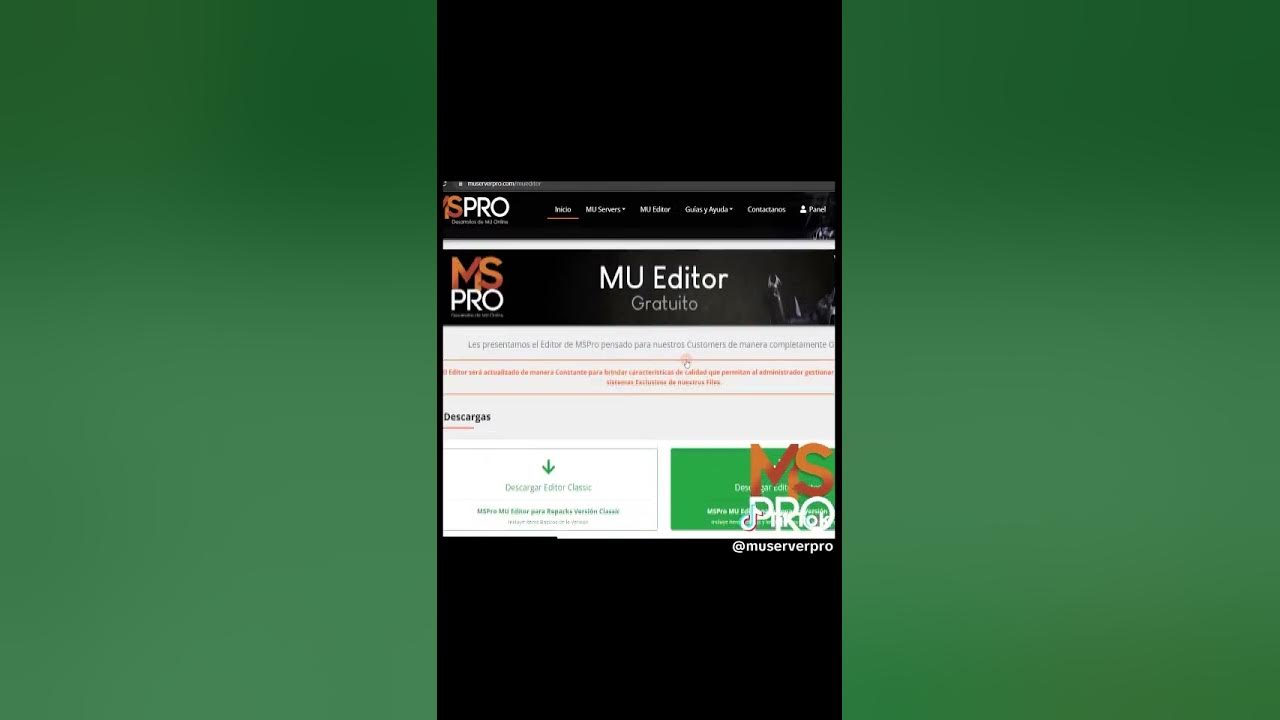 MSPro - Tu Mejor Opción (Desarrollo de MuOnline) #shorts - YouTube
