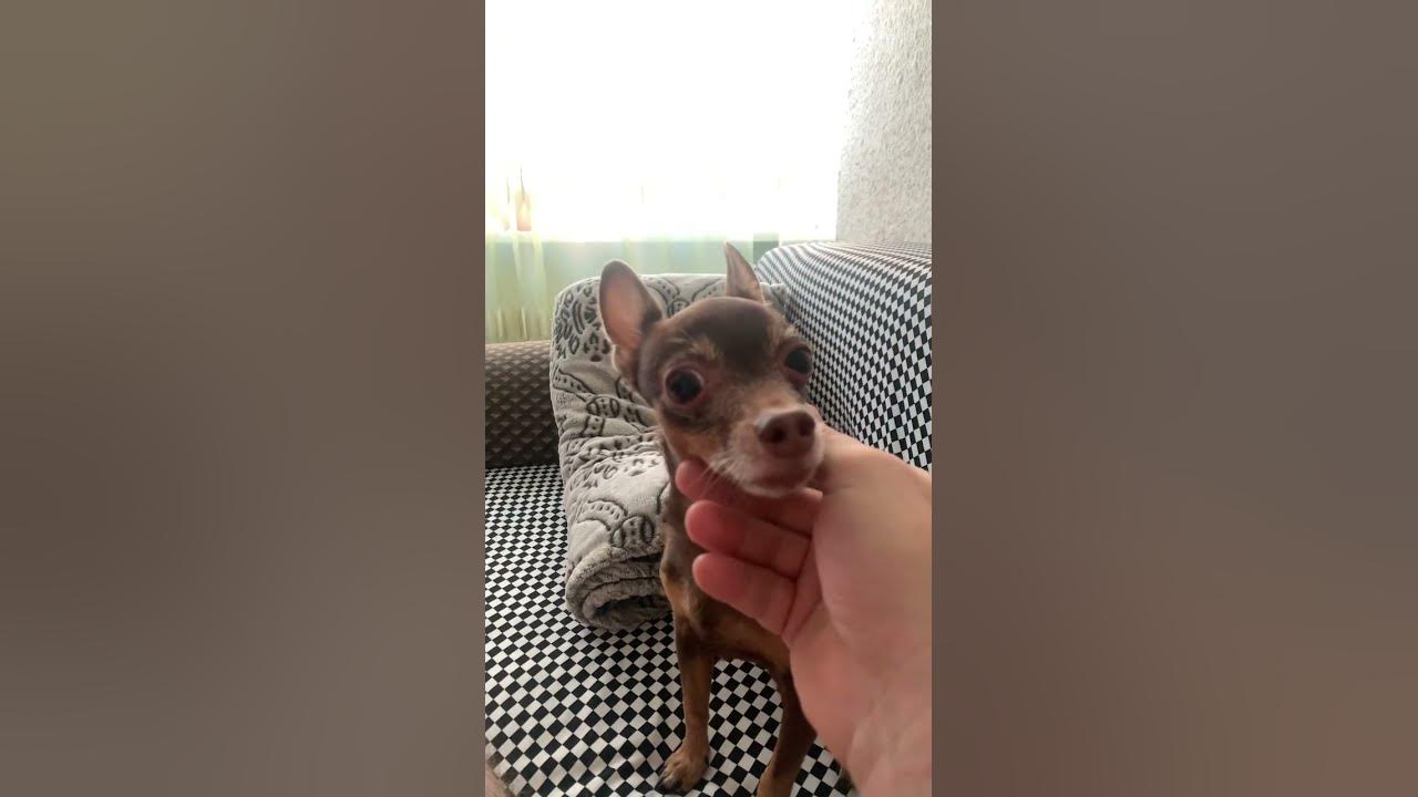 Охи вздохи!🤣 - YouTube