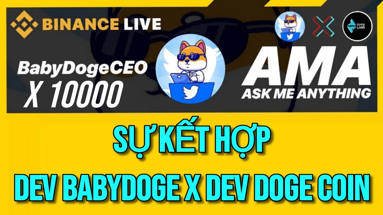 BabyDoge CEO X 10000 | Sự kết hợp của Dev Babydoge X Dev Doge Coin | Kèo tỷ phú | New meme coin ...