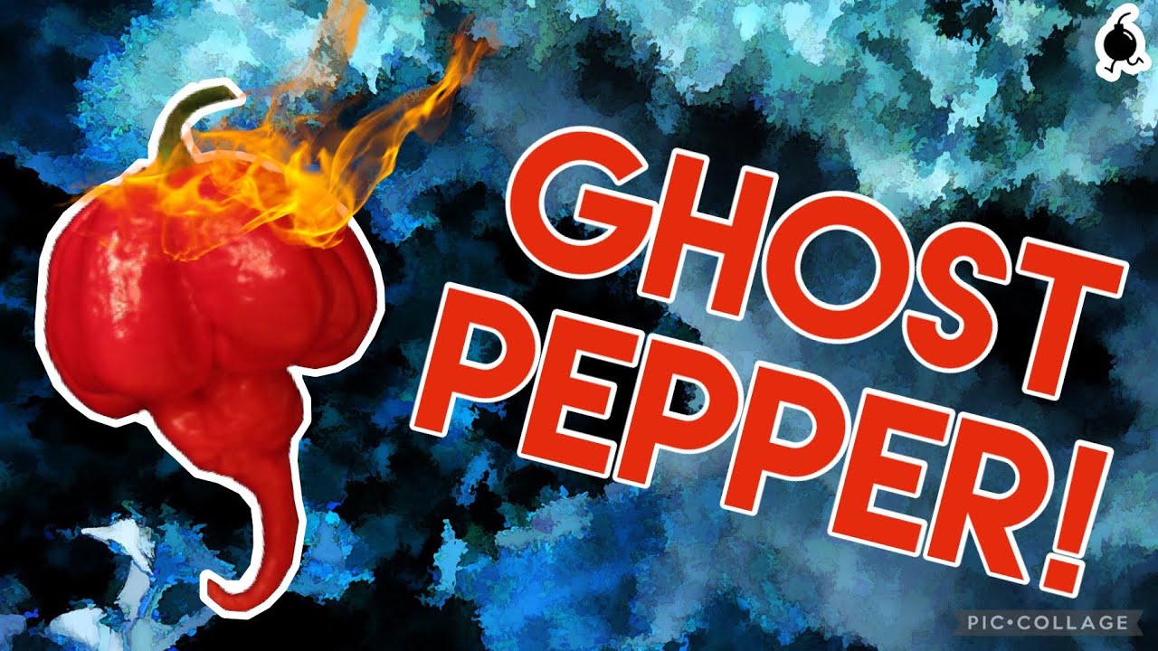 Two Kids Eat a GHOST PEPPER!!! | Glad Bros Entertainment - YouTube