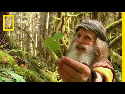 Meet Mick Dodge | The Legend of Mick Dodge - YouTube