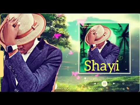 DAN MUSA -SHAYII (Official Audio)  2023 #arewa #hausa #music