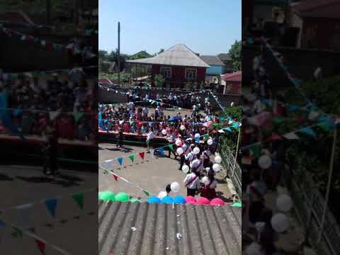 2018 mezunları MASXAN KƏND TAM ORTA MƏKTƏBİ 11A