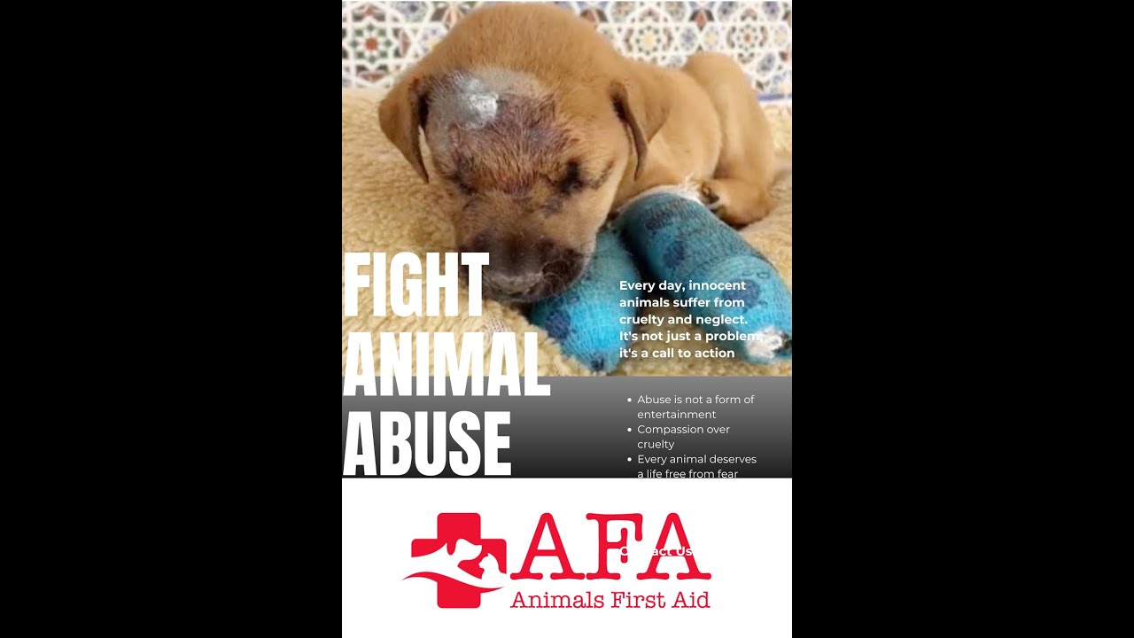 Save a Life Today - Help SARA’s 900 Dogs and Cats live safe and healthy ...