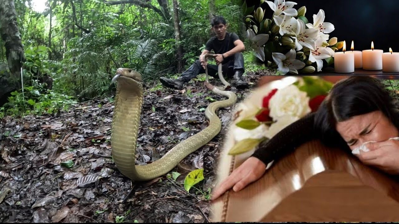 PATAY ANG ISANG TAGA LUCENA SA KAGAT NG KING COBRA - YouTube