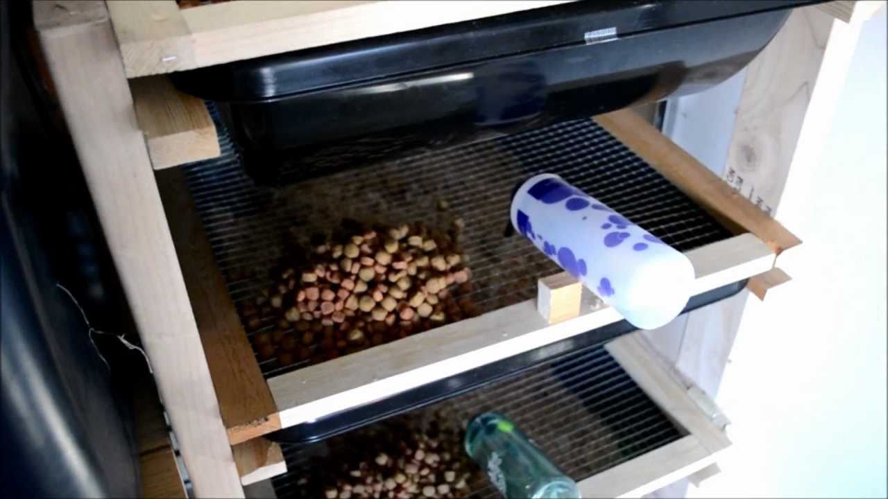 MY RAT RACK - YouTube