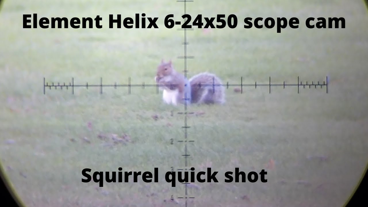 Scope cam - Element Helix 6-24x50 squirrel quick shot with Lithgow 101 ...
