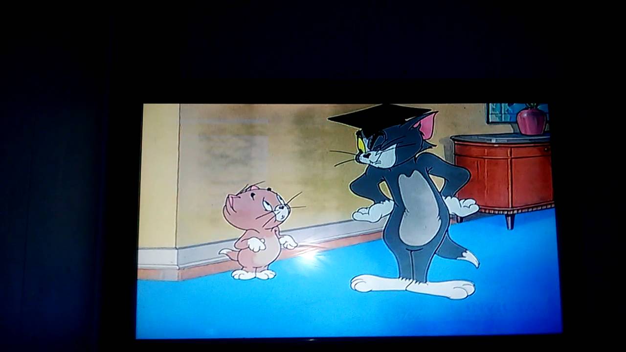 Tom and Jerry Fandubs (Professor Tom) - YouTube