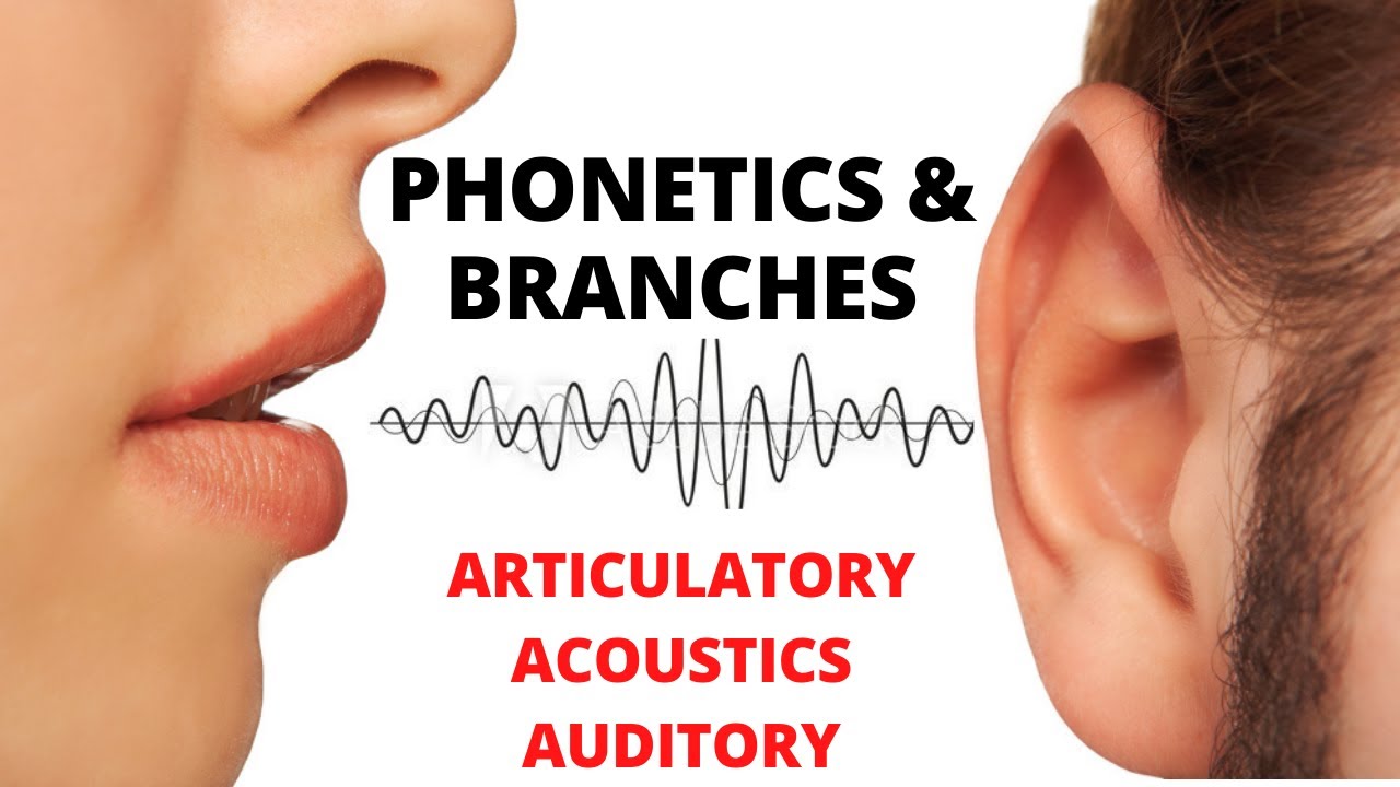 Phonetics And Its Branches Articulatory Auditory Acoustics phonetics-and-its-branches-articulatory-auditory-acoustics