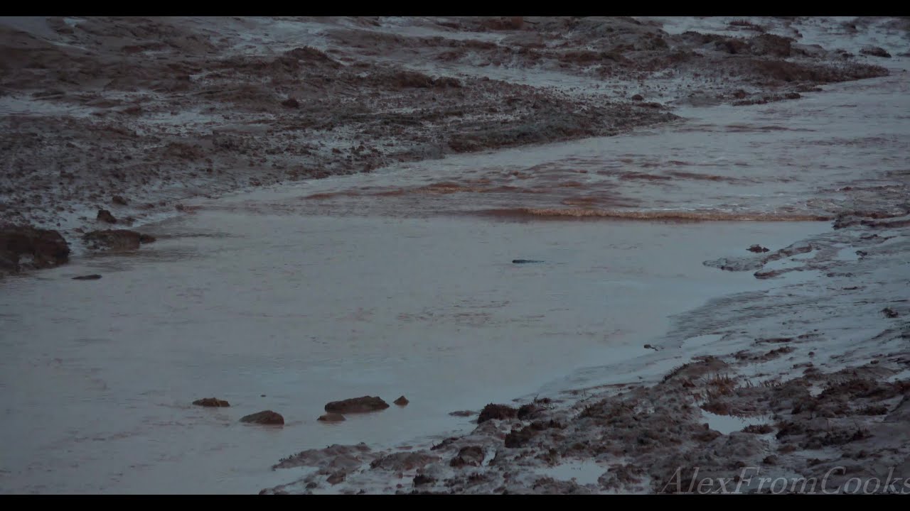 Tidal bore up the Memramcook River Aug 17 2024 - YouTube