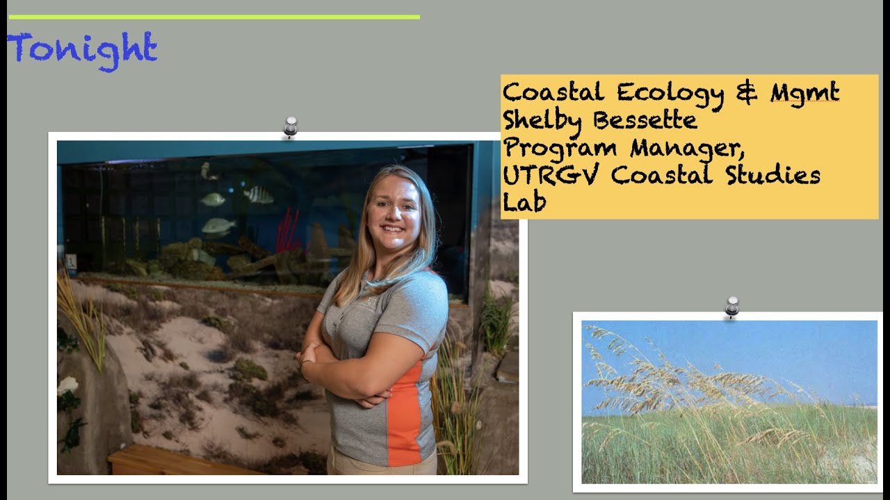 RGVC Class 6b Coastal Ecology - YouTube