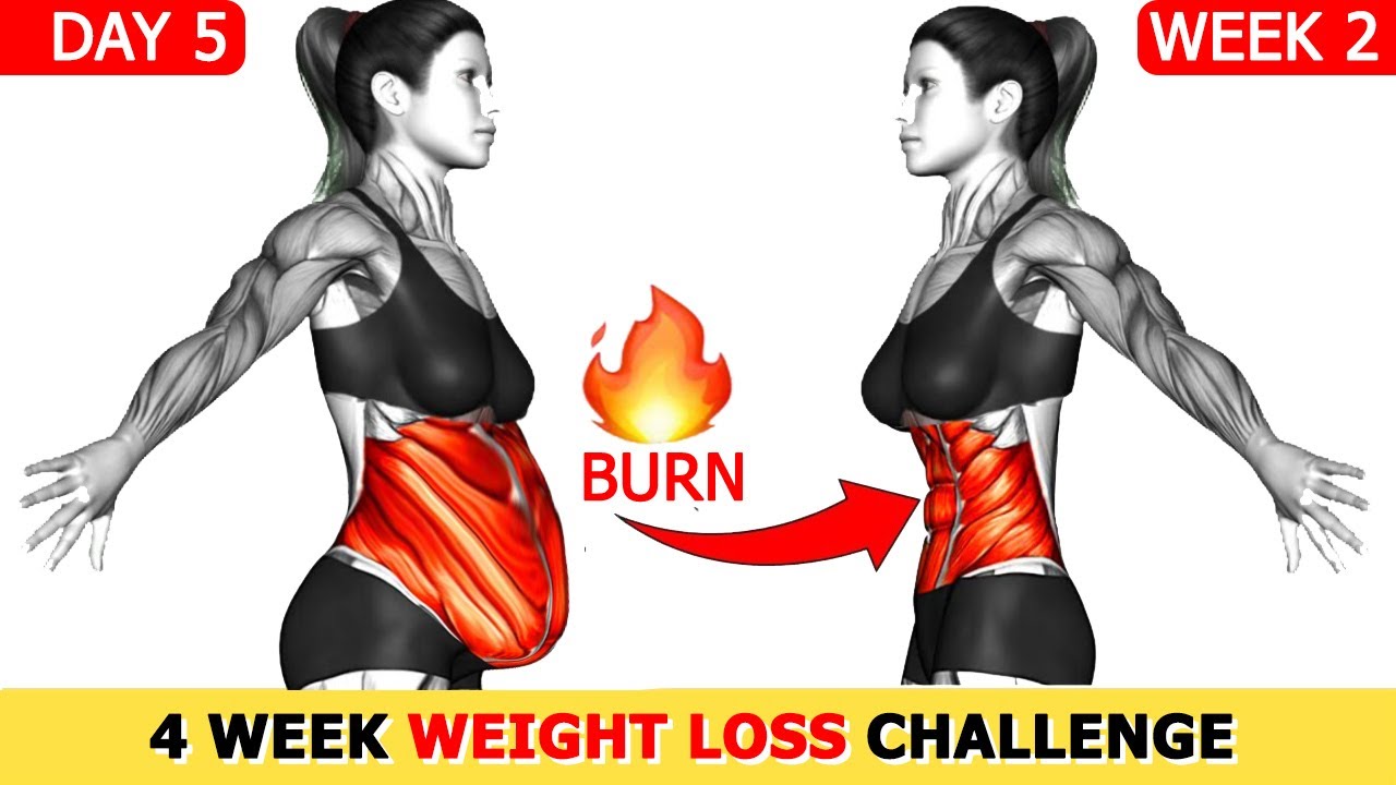 Do This Everyday To Lose Weight & Belly Fat | 4 Weeks Workout Challenge ...