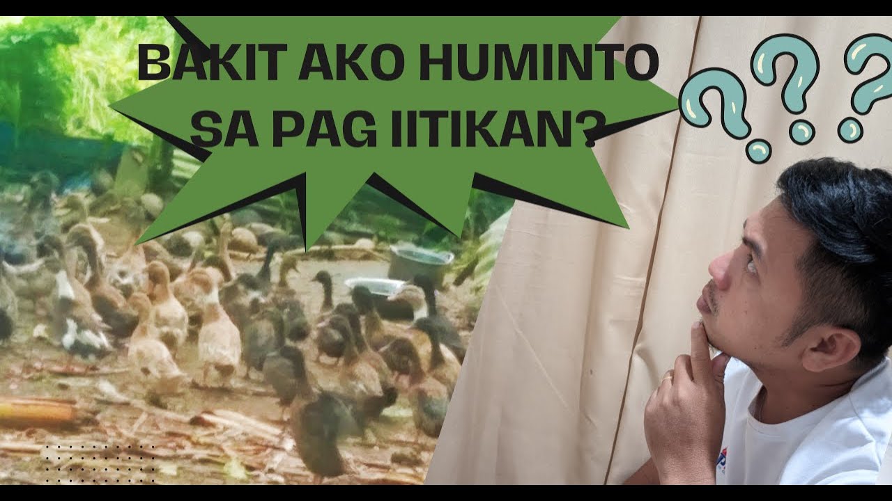 BAKIT AKO HUMINTO SA PAG IITIKAN?/RMS FARMING - YouTube