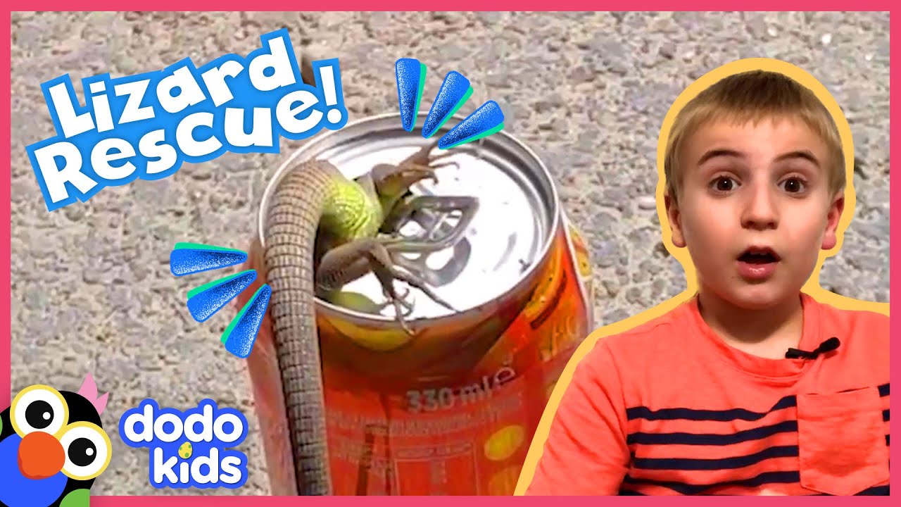 Thirsty Lizard Rescued From Soda Can | Rescued! | Dodo Kids - YouTube