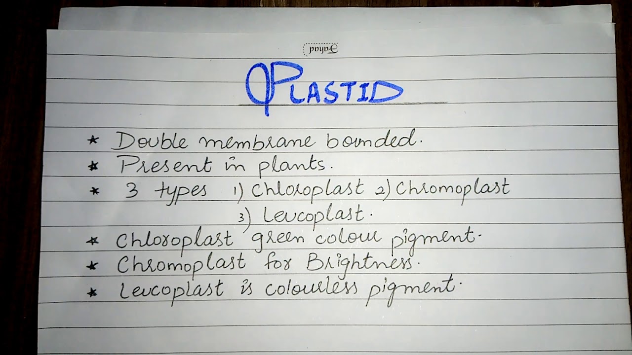 PLASTID | Easy explanation by education with medico - YouTube