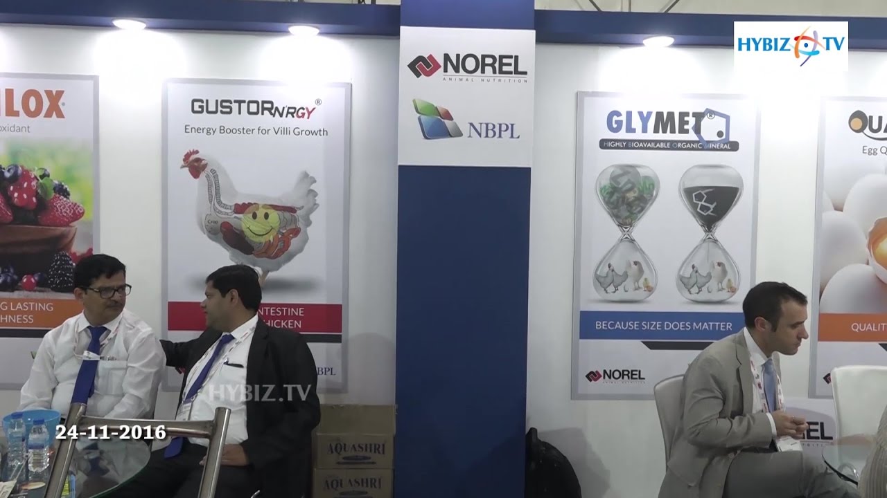Norel Animal Nutrition | Poultry India 2016 - hybiz - YouTube