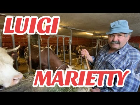 Azienda Agricola MARIETTY LUIGI e ROBERT razza pezzata rossa valdostana ...