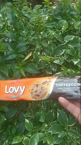 Mencari dan menemukan Lovy cookies coffeeno#jajanananak - YouTube