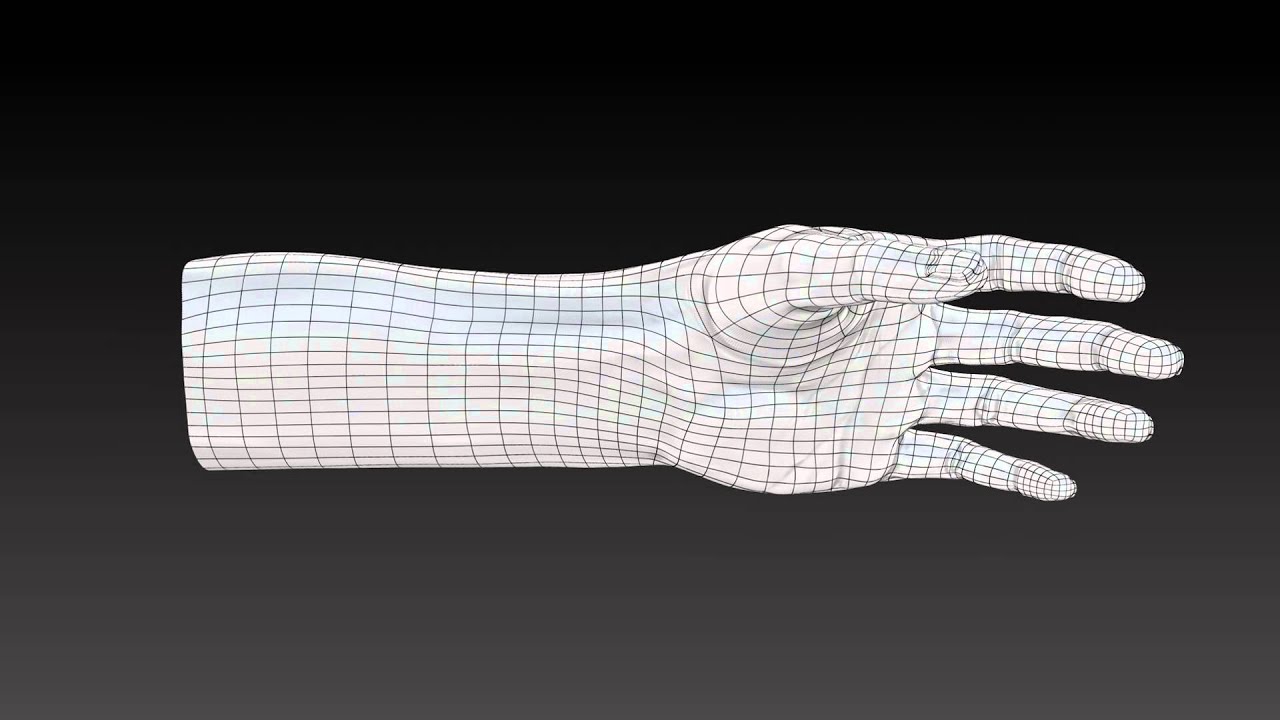 Hand Study Wireframe - YouTube