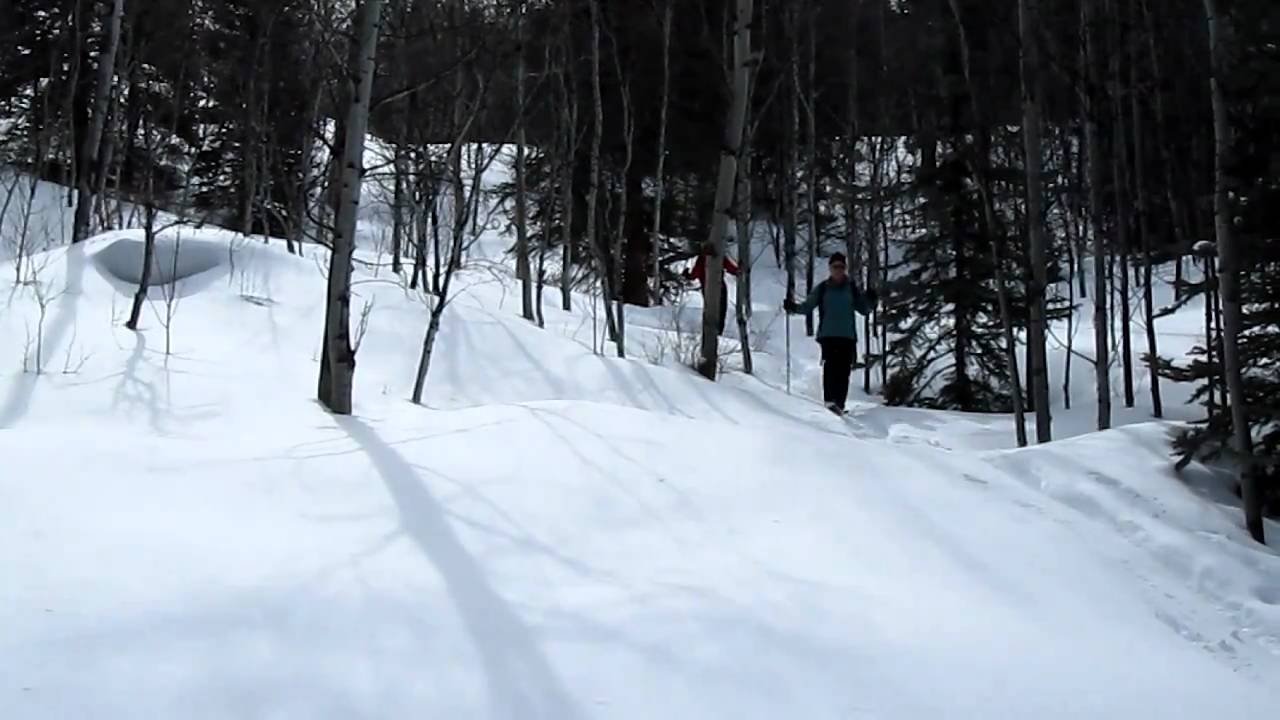 shortcut through the woods - YouTube