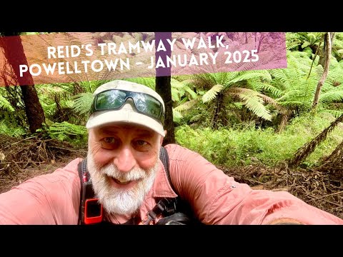 Reid’s Tramway Walk, Powelltown - January 2025 - YouTube