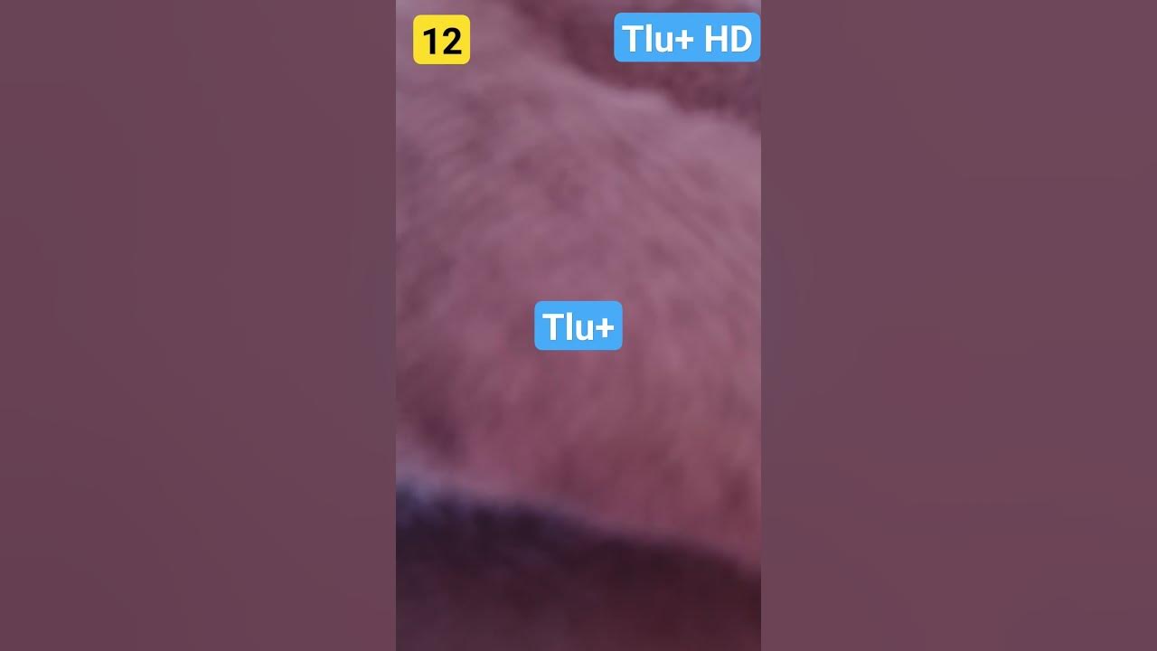 tlu+ logo 2017-2021 tlu+ bug 20.01.2002 - YouTube