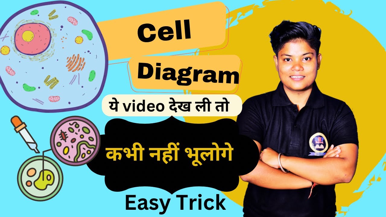 Cell Diagram बनाना सीखे मात्र कुछ मिण्टो मे ️ ।। कभी नहीं भूलोगे आज सिख ...