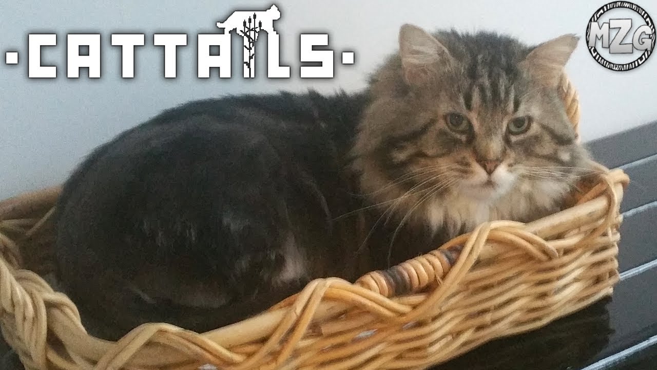 So Close! - Cattails Gameplay - Episode 26 - YouTube