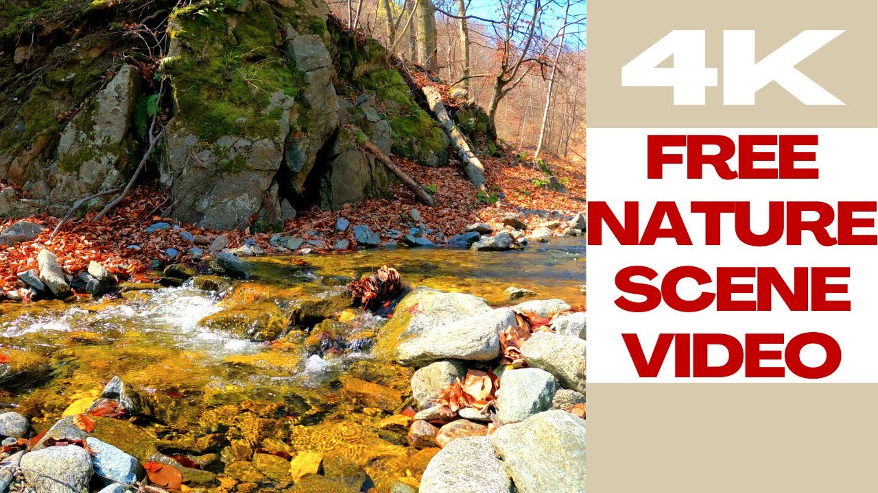 nature 4K 523 🌳 Nature Scene Video - YouTube