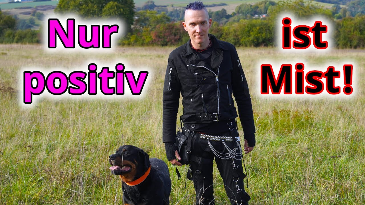 Rein postives Hundetraining funktioniert nicht und schadet der ...
