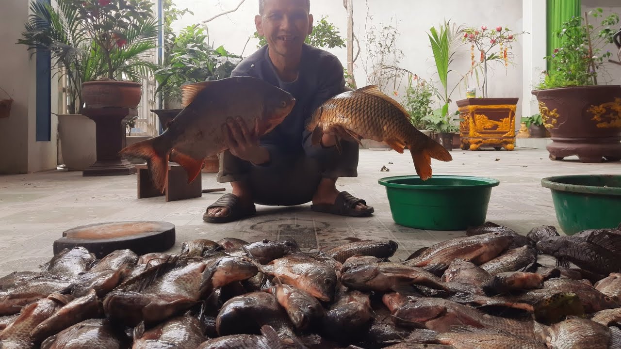 Ông xã bê hai con cá khệ nệ:giản di thôn quê.#1838 - YouTube Ông xã bê hai con cá khệ nệ:giản di thôn quê.#1838 - YouTube