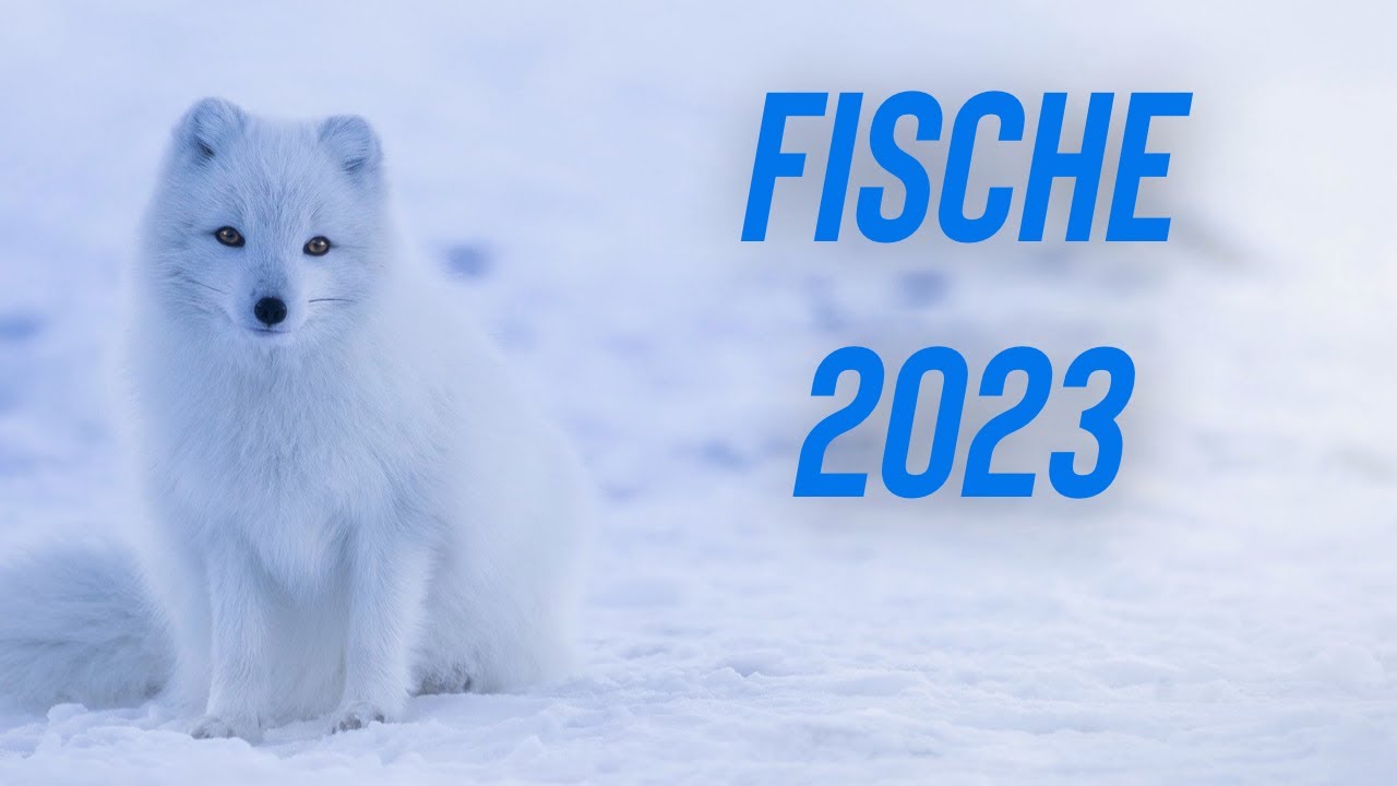 ♓️ FISCHE 2023 JAHRES TAROT #orakel #tarot #fische #fisch #jahreslegung ...