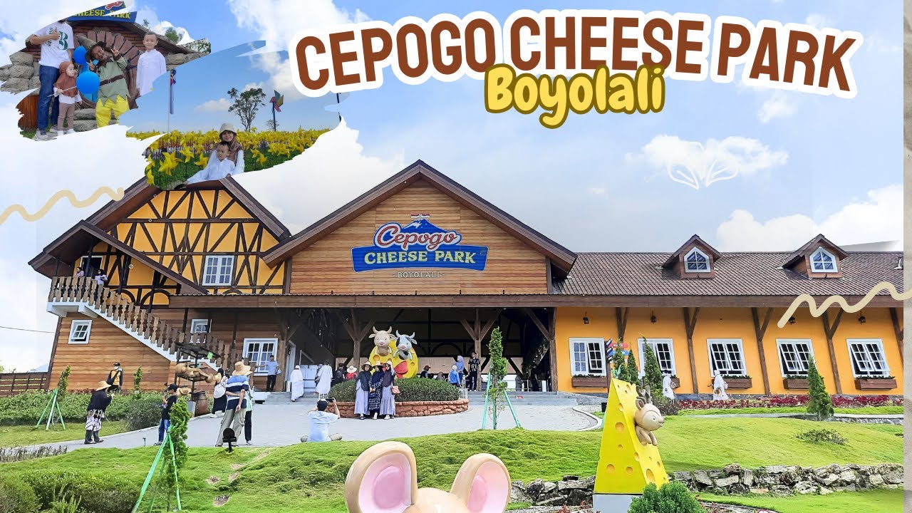 CEPOGO CHEESE PARK | wisata keluarga di cimory 2024 - YouTube