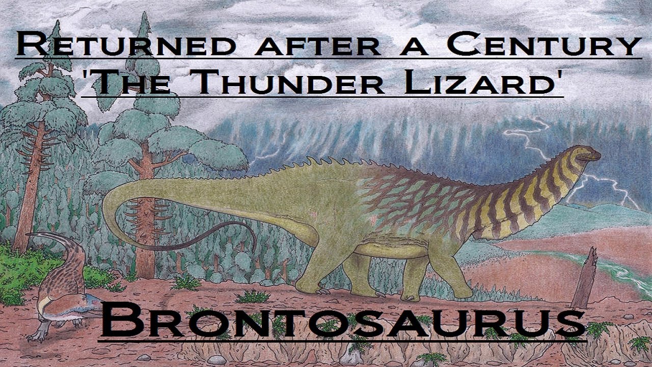 Prehistoric Breakdown: Brontosaurus - YouTube
