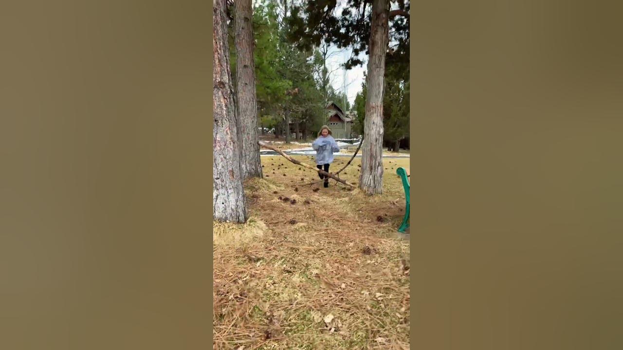 How high can Q jump? - YouTube