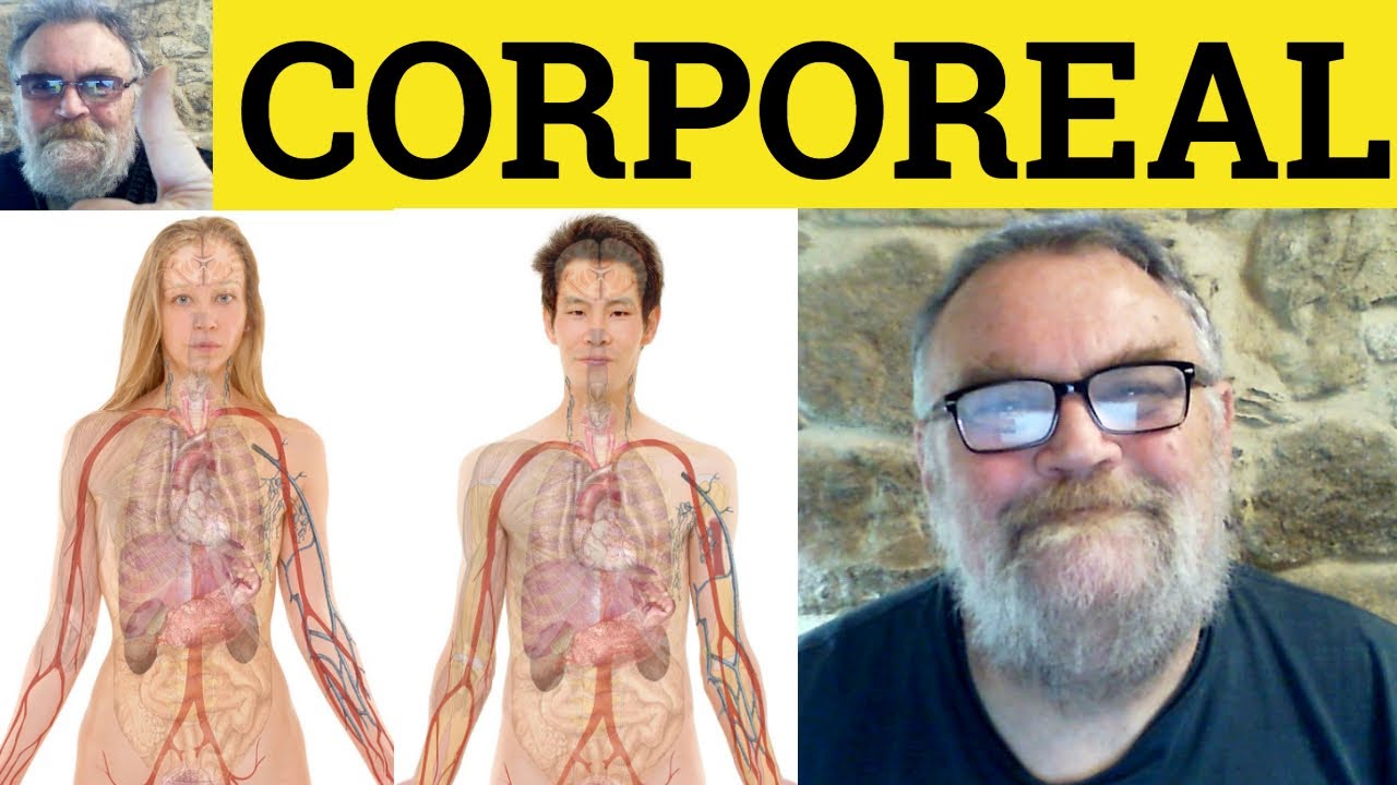 😎 Corporeal Meaning - Corporeal Defined - Corporeality Examples ...