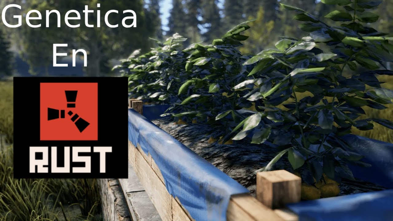 RUST como sacar geneticas guia - YouTube