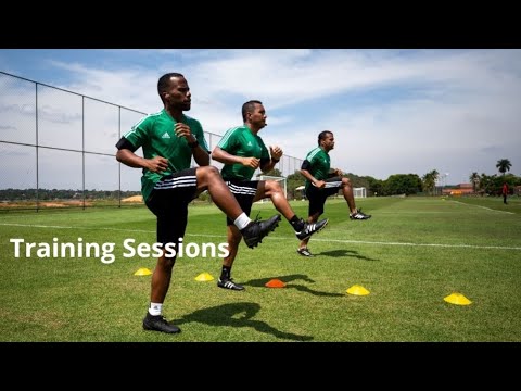 Speed endurance (field) (SE) referee decision making under fatigue 2024 ...