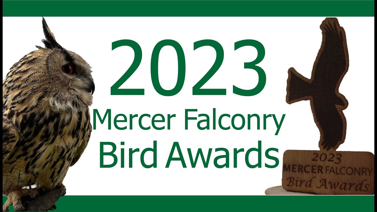 2023 Mercer Falconry Bird Awards - YouTube