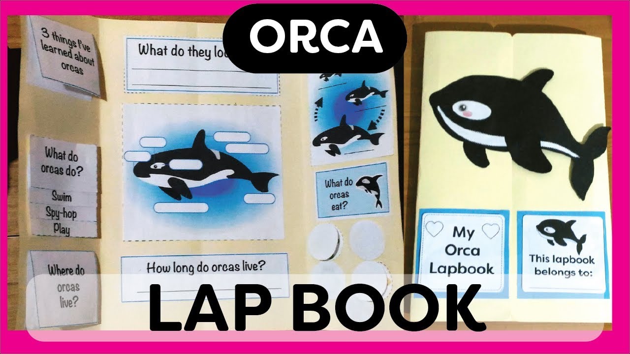 Orca Lapbook for Kids - YouTube