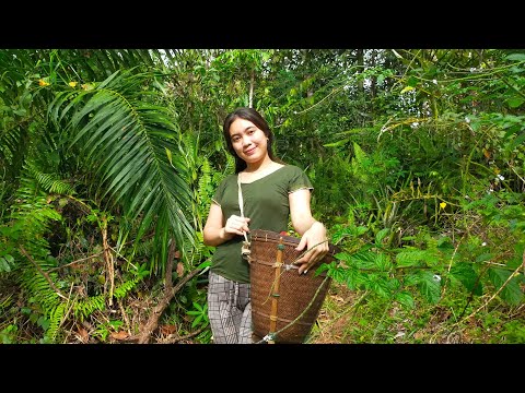 Dania Gadis Dayak, Pulang Kampung Rindu Makan Sayur Hutan