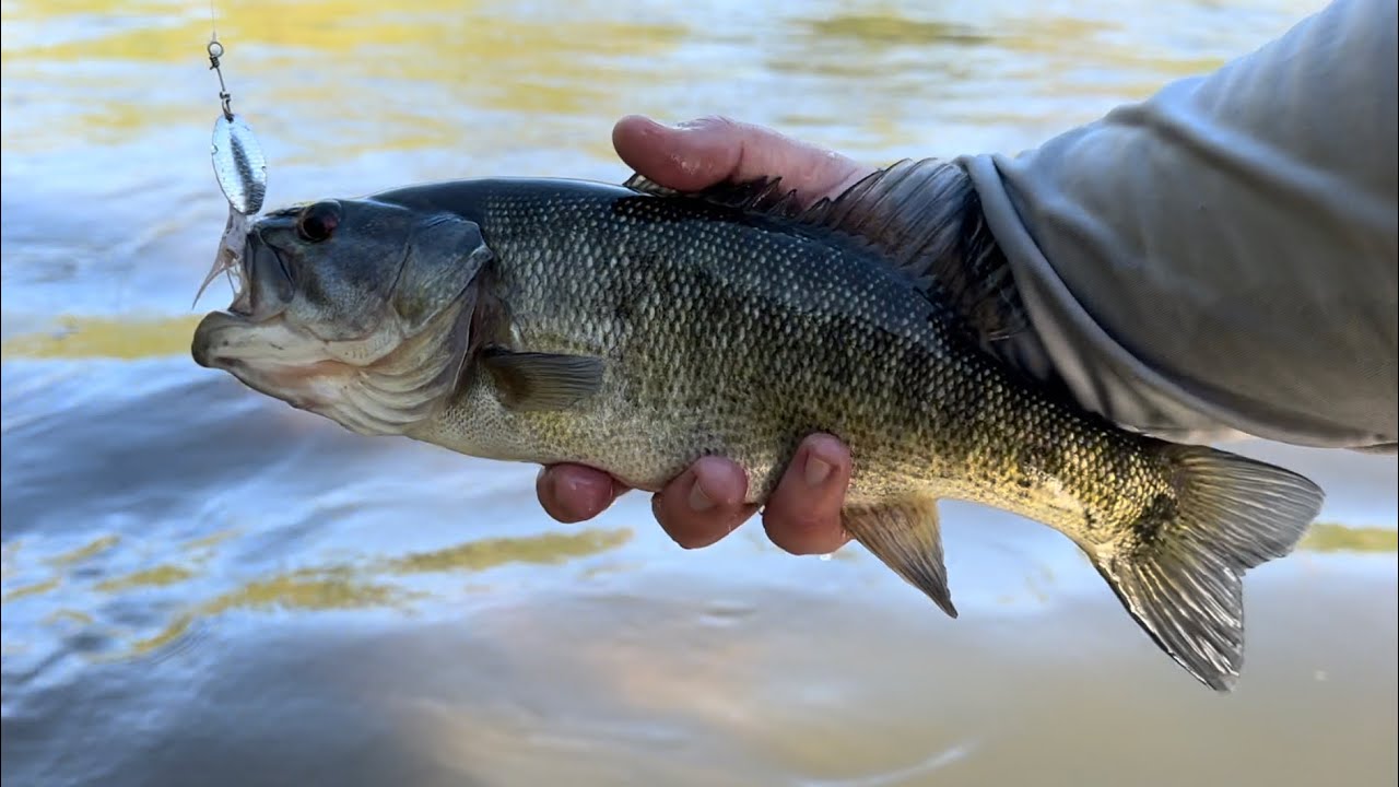 A BIG Fish Broke My Rod! (Georgia River Fishing) - YouTube