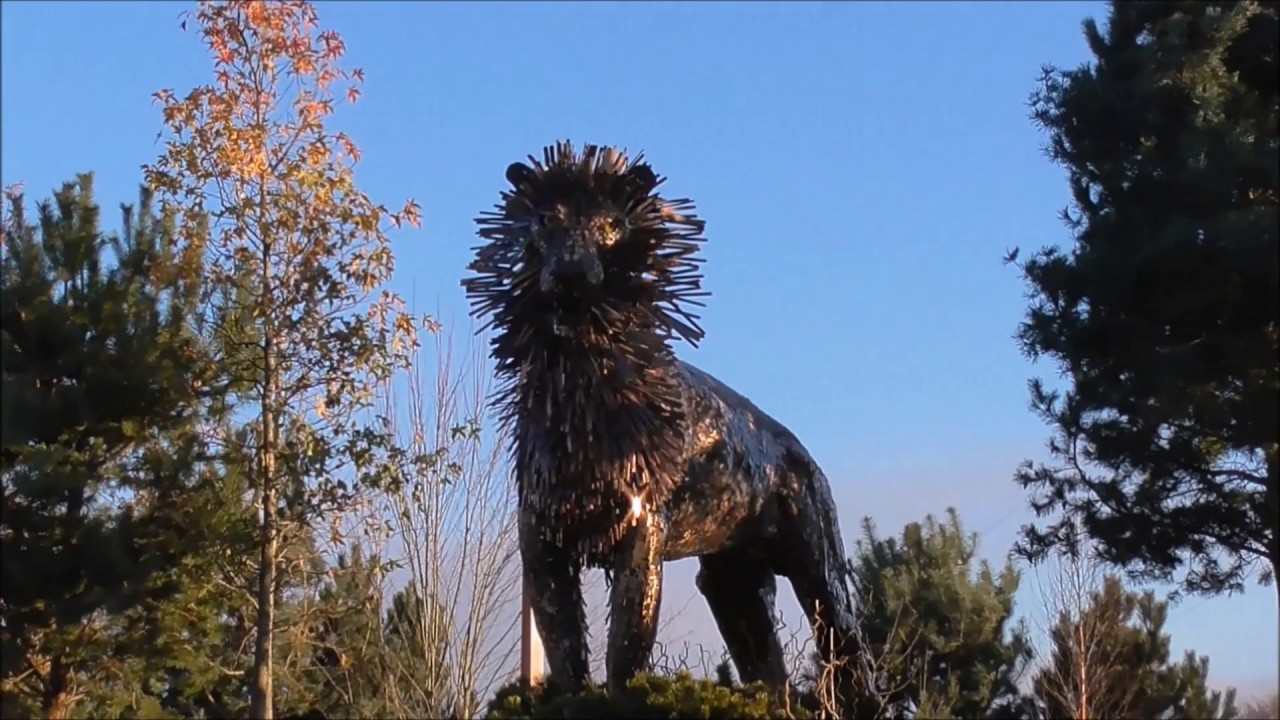 C S Lewis Square Narnia Sculptures Holywood Arches Belfast - YouTube