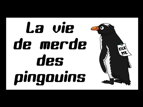 Nature's wonders 1 - Penguins