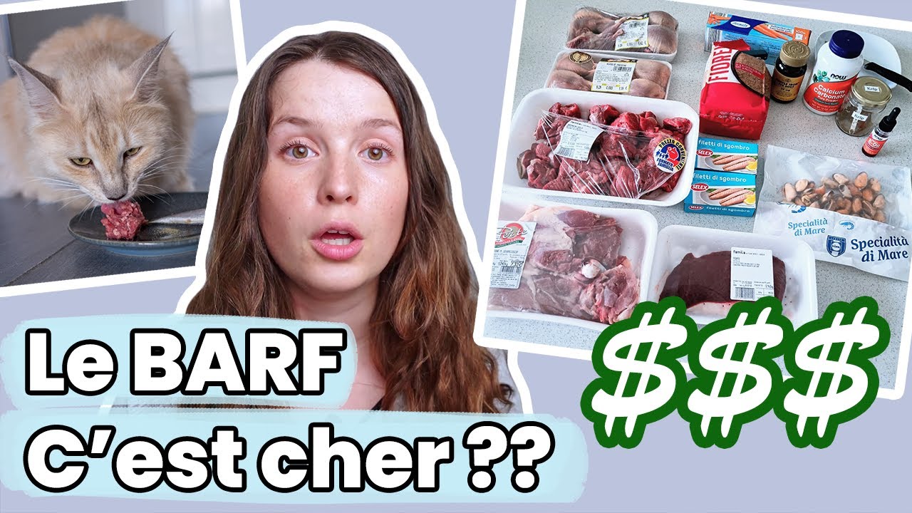 Combien coûte une alimentation crue pour chat ? Quel prix ? | Raw ...